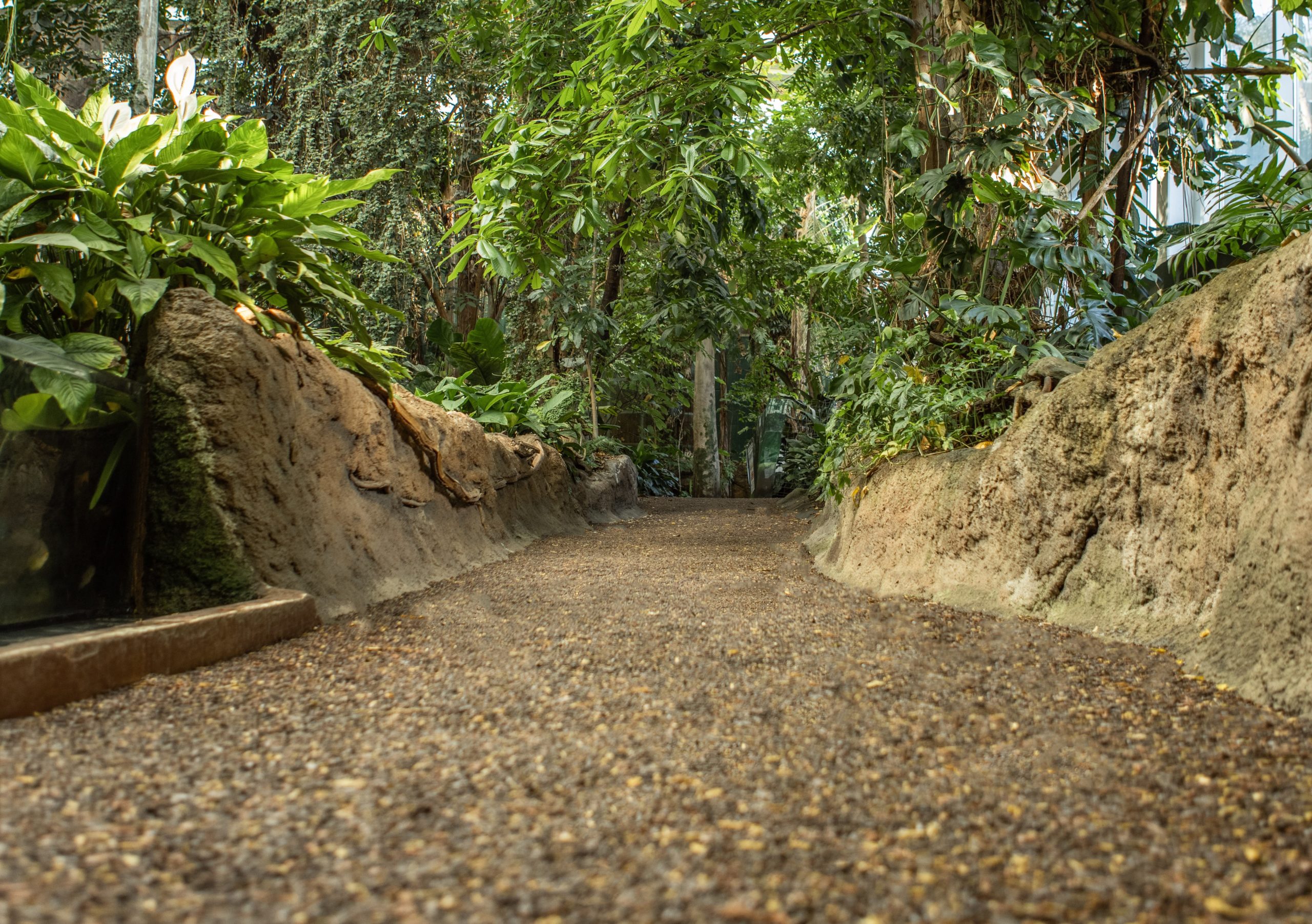 A natural pathway for visitors and birds - CONICA AG